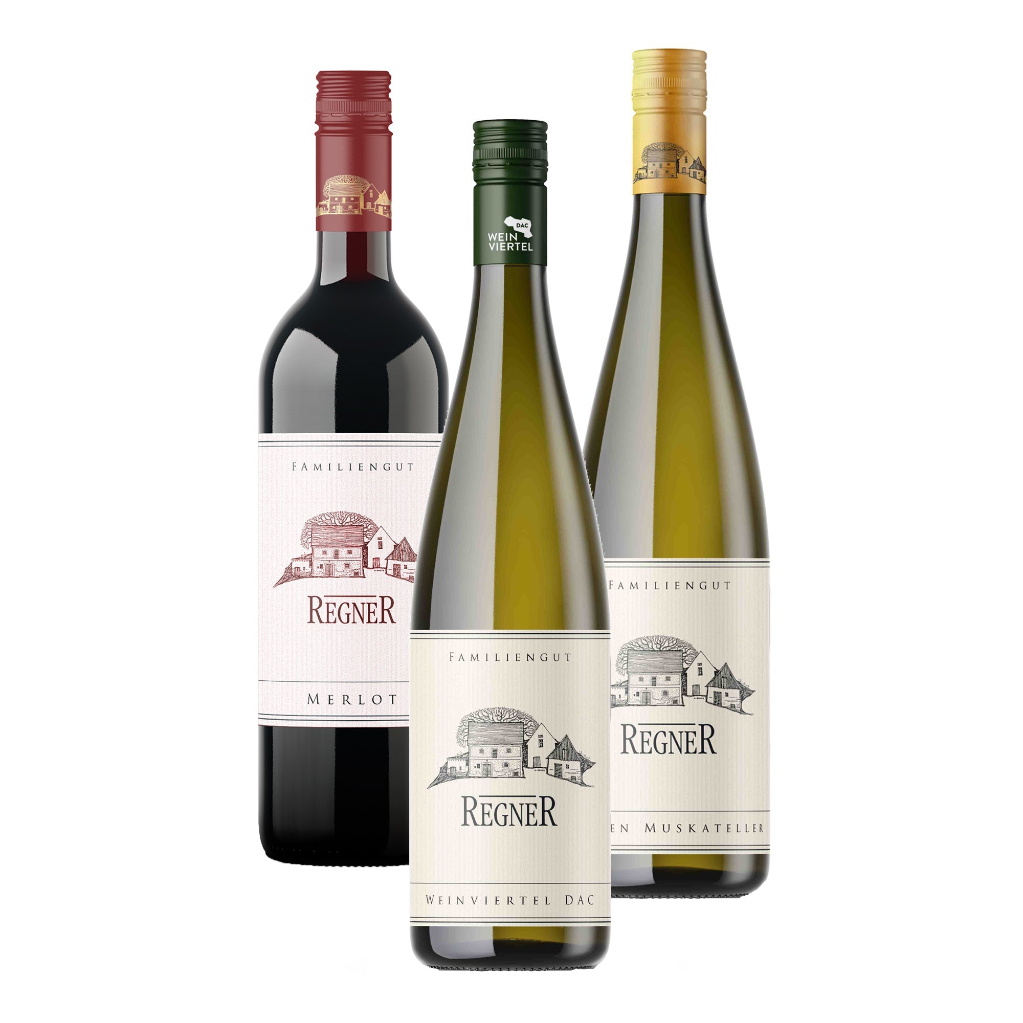 Weiss- & Rotwein – Weingut Regner-Weinviertel